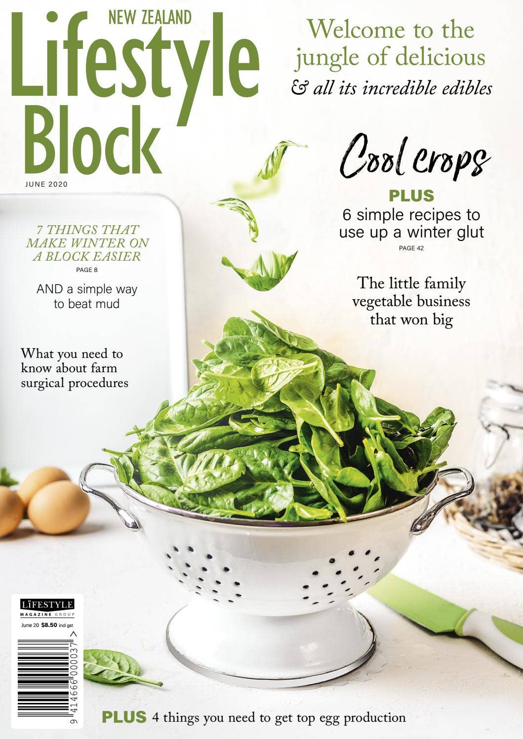 NZ Lifestyle Block – June 2020 by Lifestyle Magazine Group - Issuu
