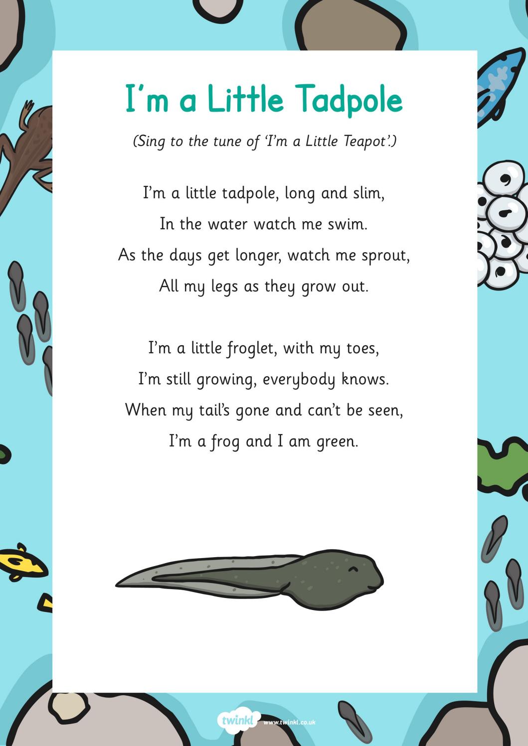 I'm a little tadpole by Schudio - Issuu