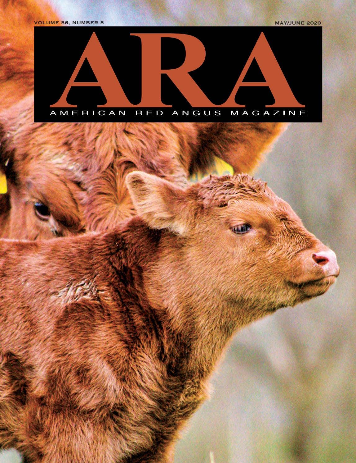 May/June 2020 - American Red Angus Magazine by Red Angus Association of ...
