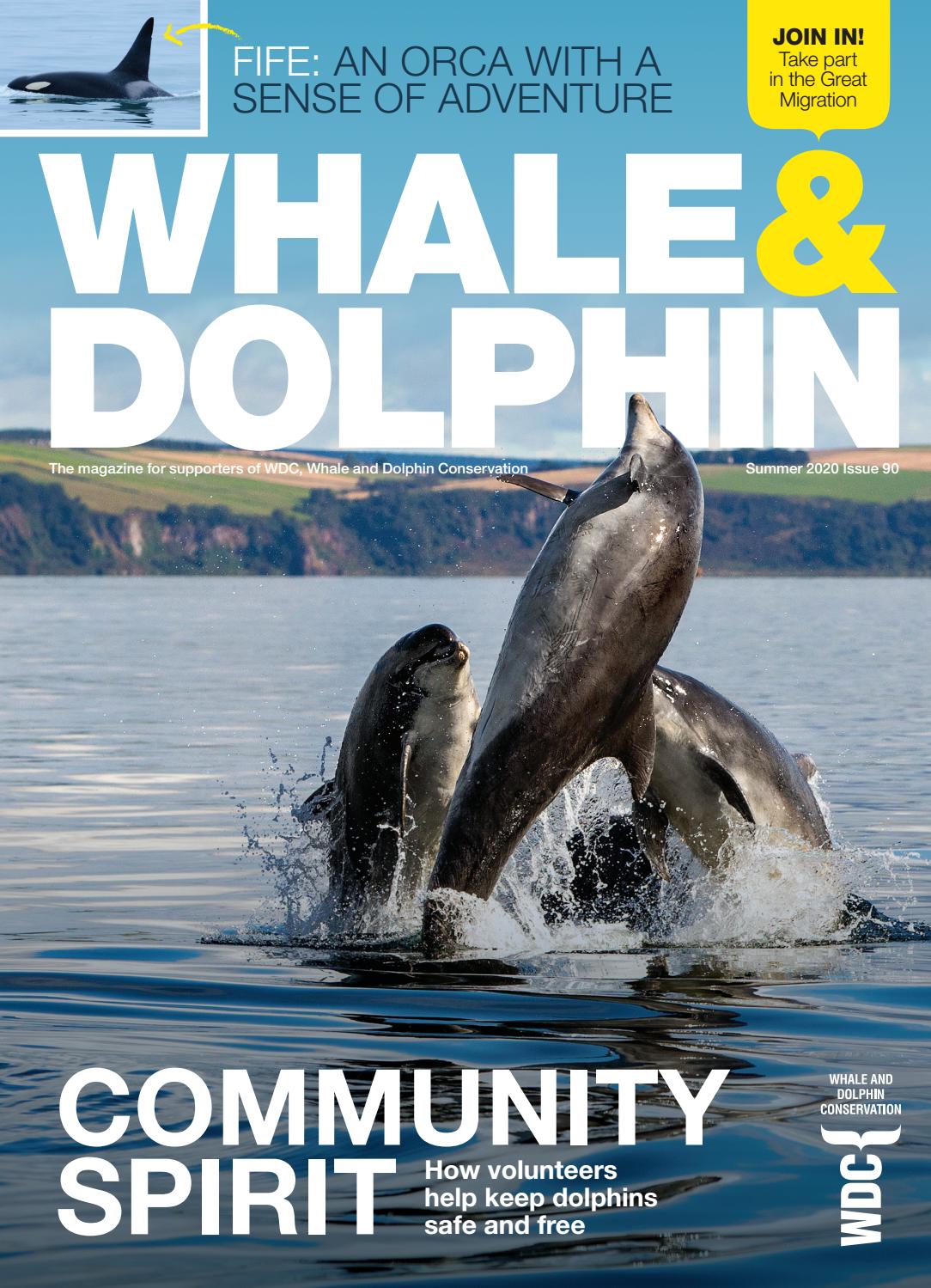 WDC Whale & Dolphin Summer 2020 by Think Publishing - Issuu