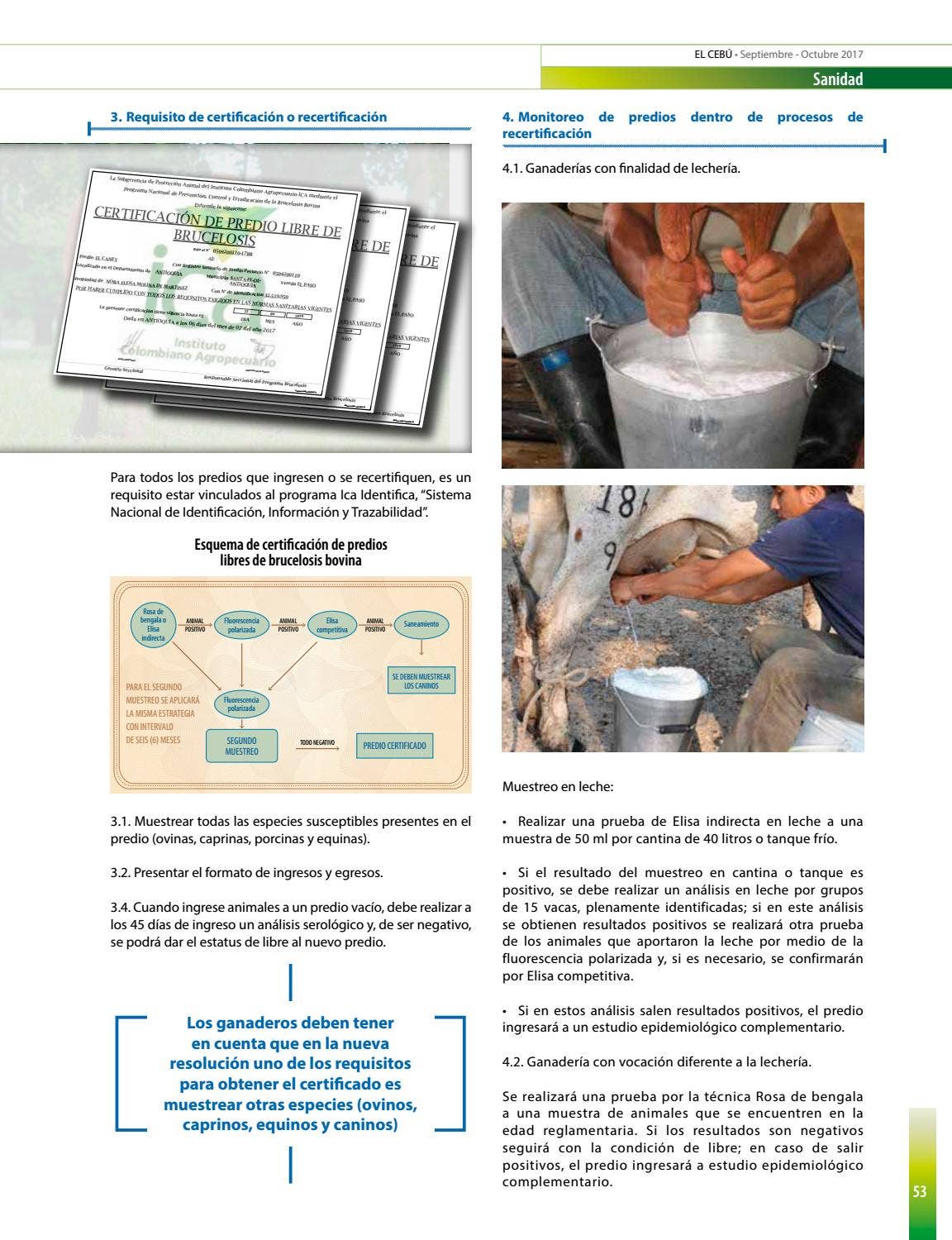 Edición 418 by Asociación Colombiana de Criadores de Ganado Cebú ...