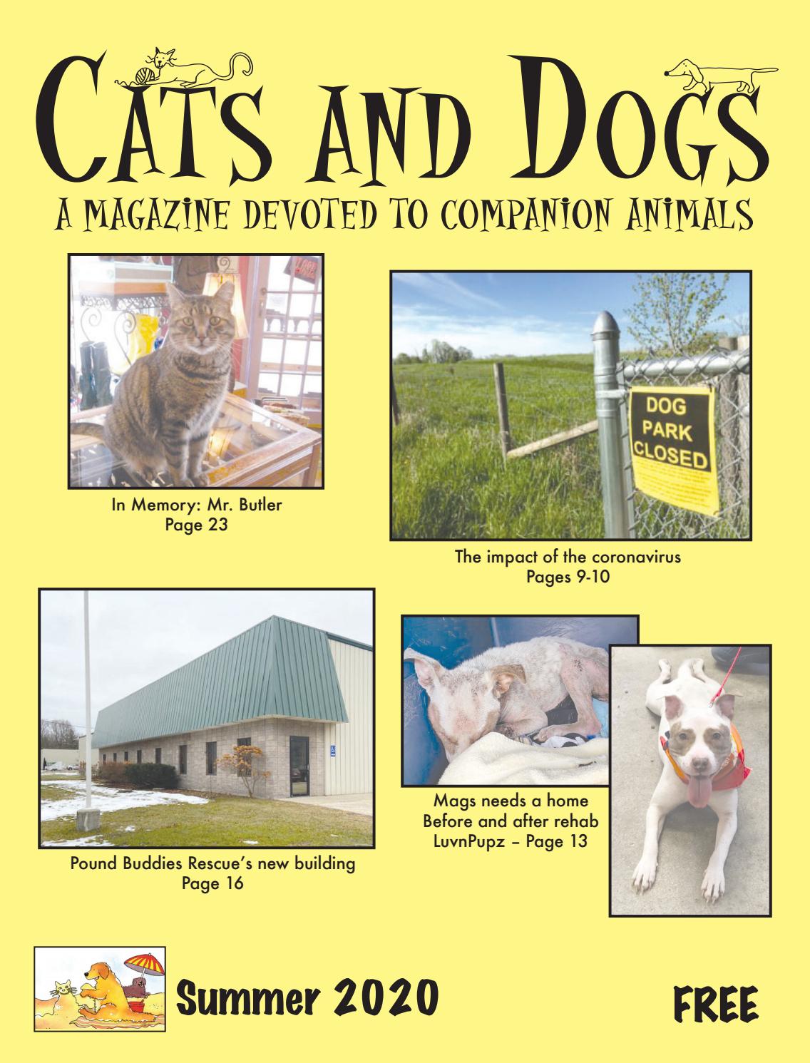 Cats and Dogs, a Magazine Devoted to Companion Animals by Cats and Dogs ...