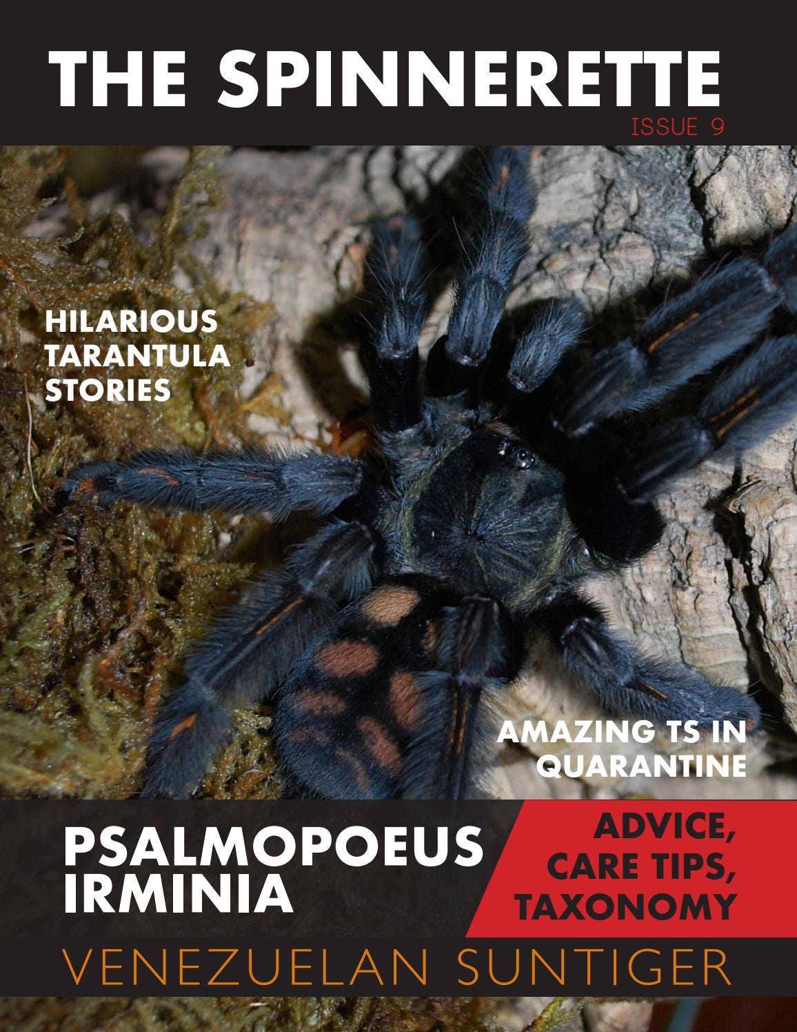 The Spinnerette, Issue 9: Psalmopoeus irminia by The Spinnerette ...