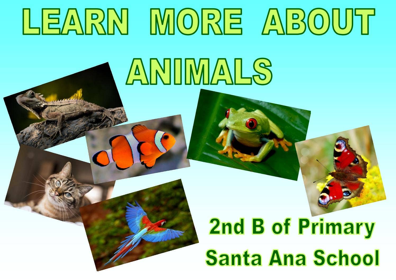 LEARN MOR ABOUT ANIMALS 2nd B by ILopezD - Issuu