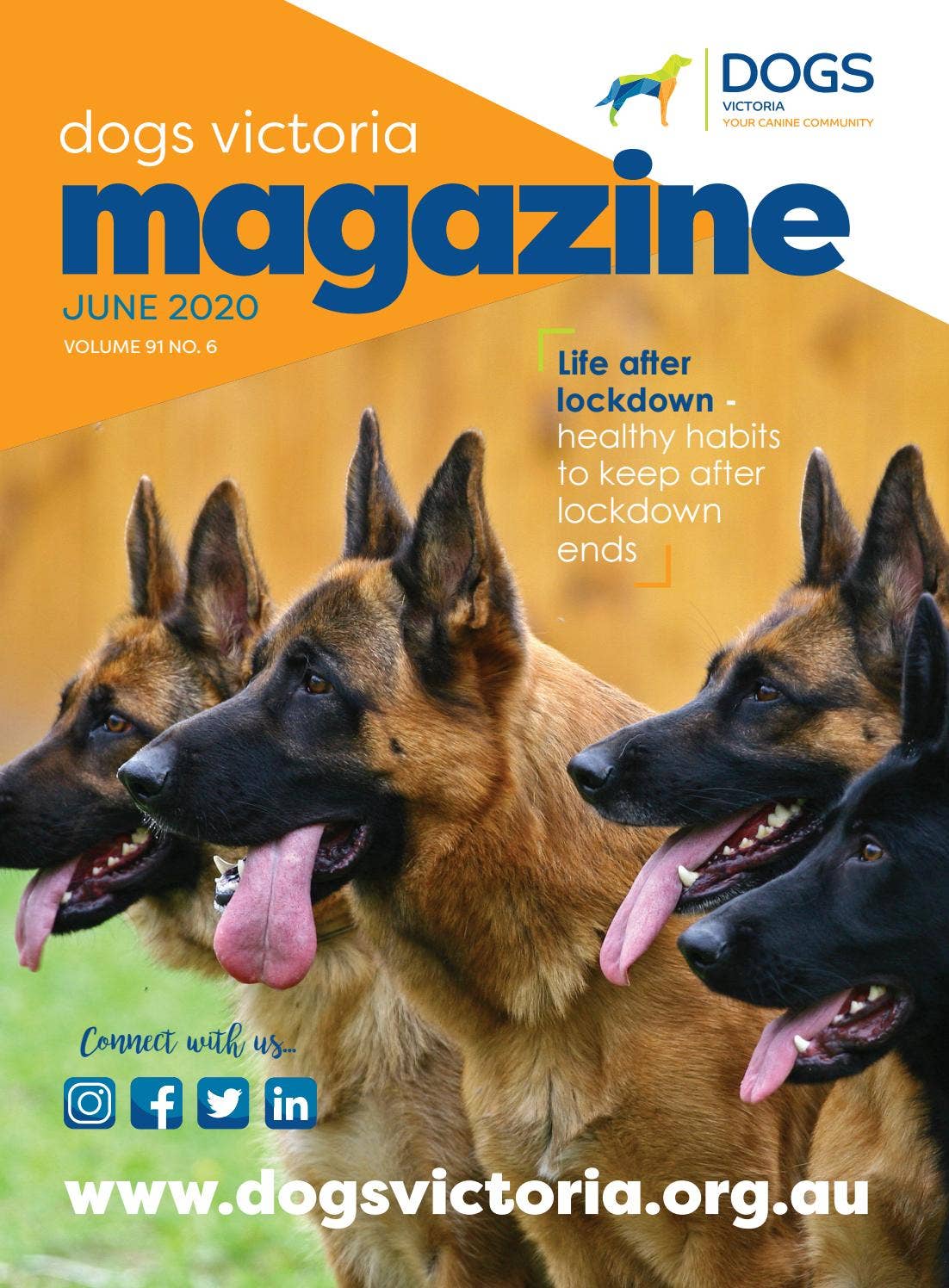 DOGS VICTORIA MAGAZINE JUNE 2020 by Dogs Victoria - Issuu