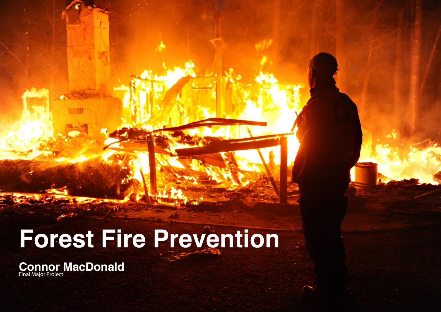 Final Major Project - Tackling forest fires and their impact on the ...
