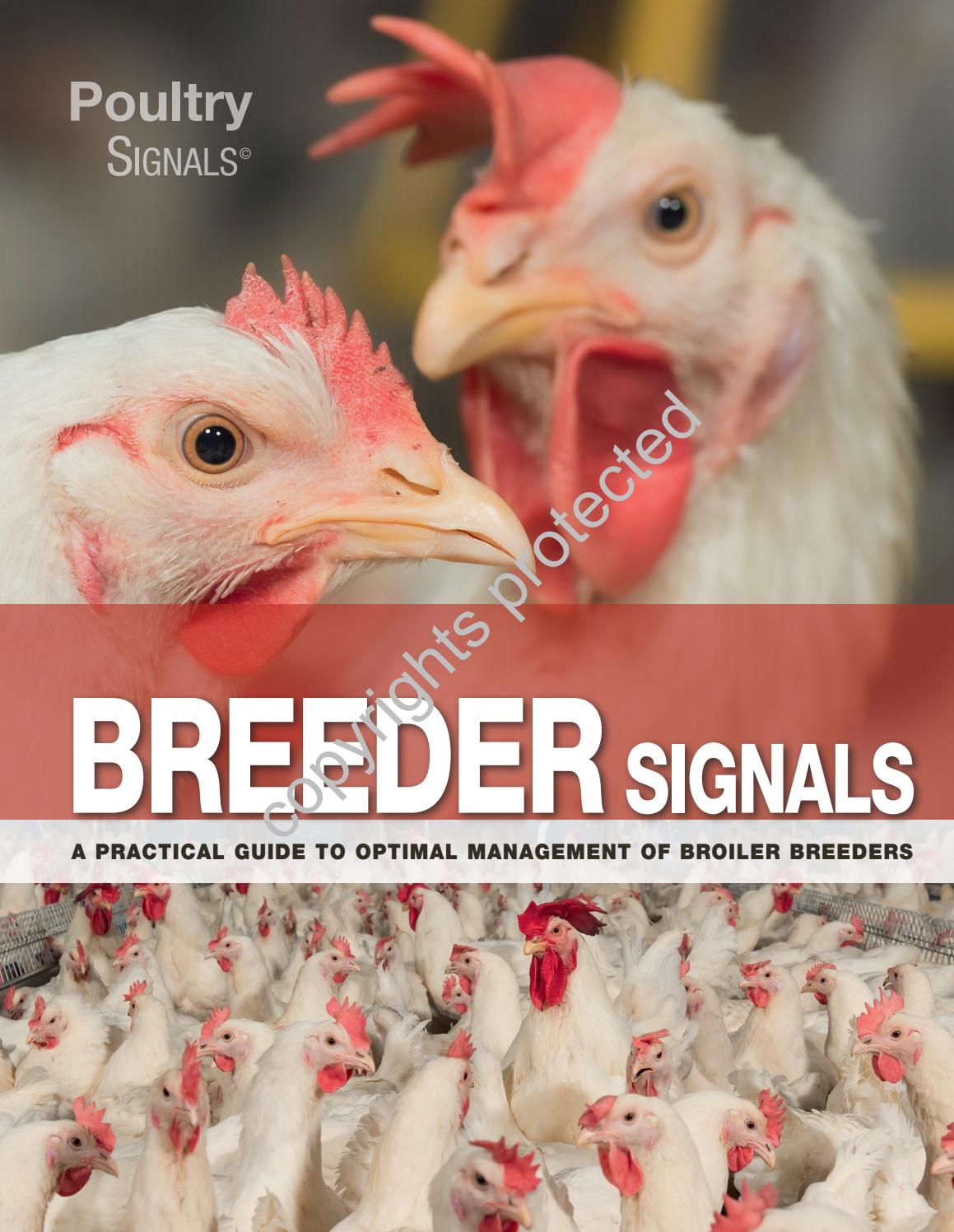 Breeder Signals by Roodbont Publishers - Issuu