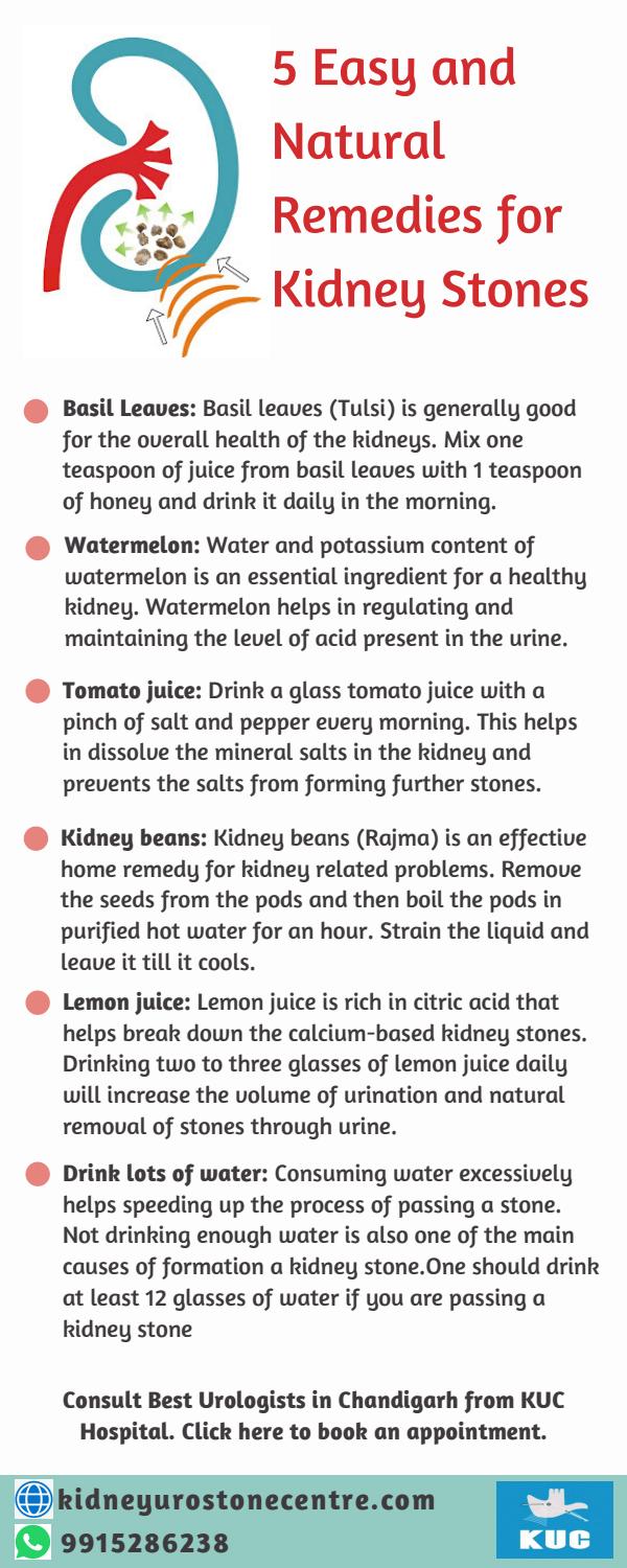 5 Easy and Natural Remedies for Kidney Stones by Kapoor's Kidney ...