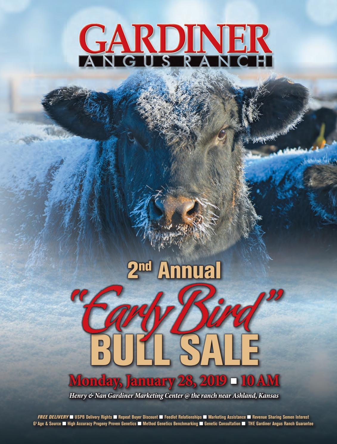 2nd Annual Early Bird Bull Sale Catalog by Gardiner Angus Ranch - Issuu