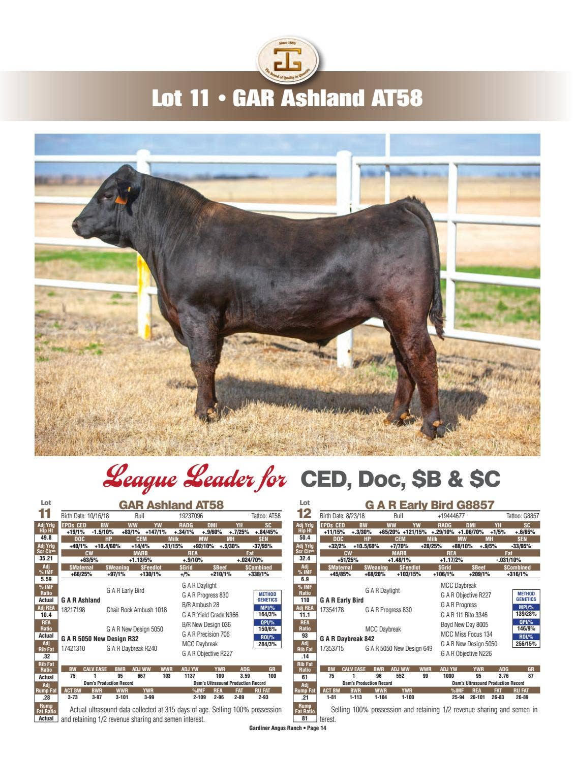 5th Annual Meating Demand Bull Sale Catalog by Gardiner Angus Ranch - Issuu