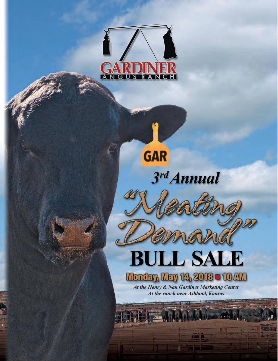 3rd Annual Meating Demand Bull Sale Catalog by Gardiner Angus Ranch - Issuu