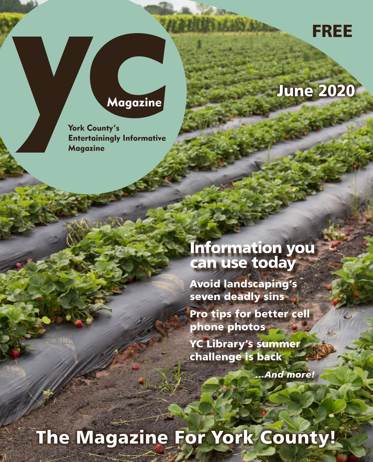 YC Magazine - June 2020 by SC Biz News - Issuu