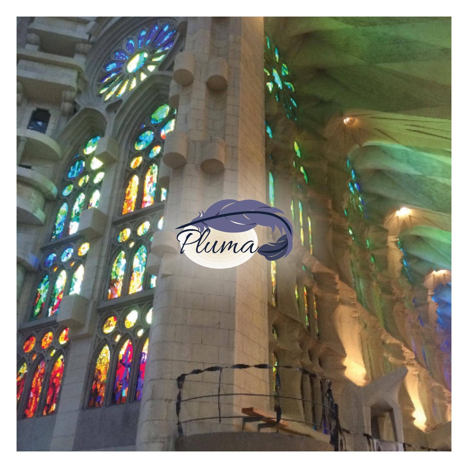 2017 Pluma Book by Washington and Lee University - Issuu