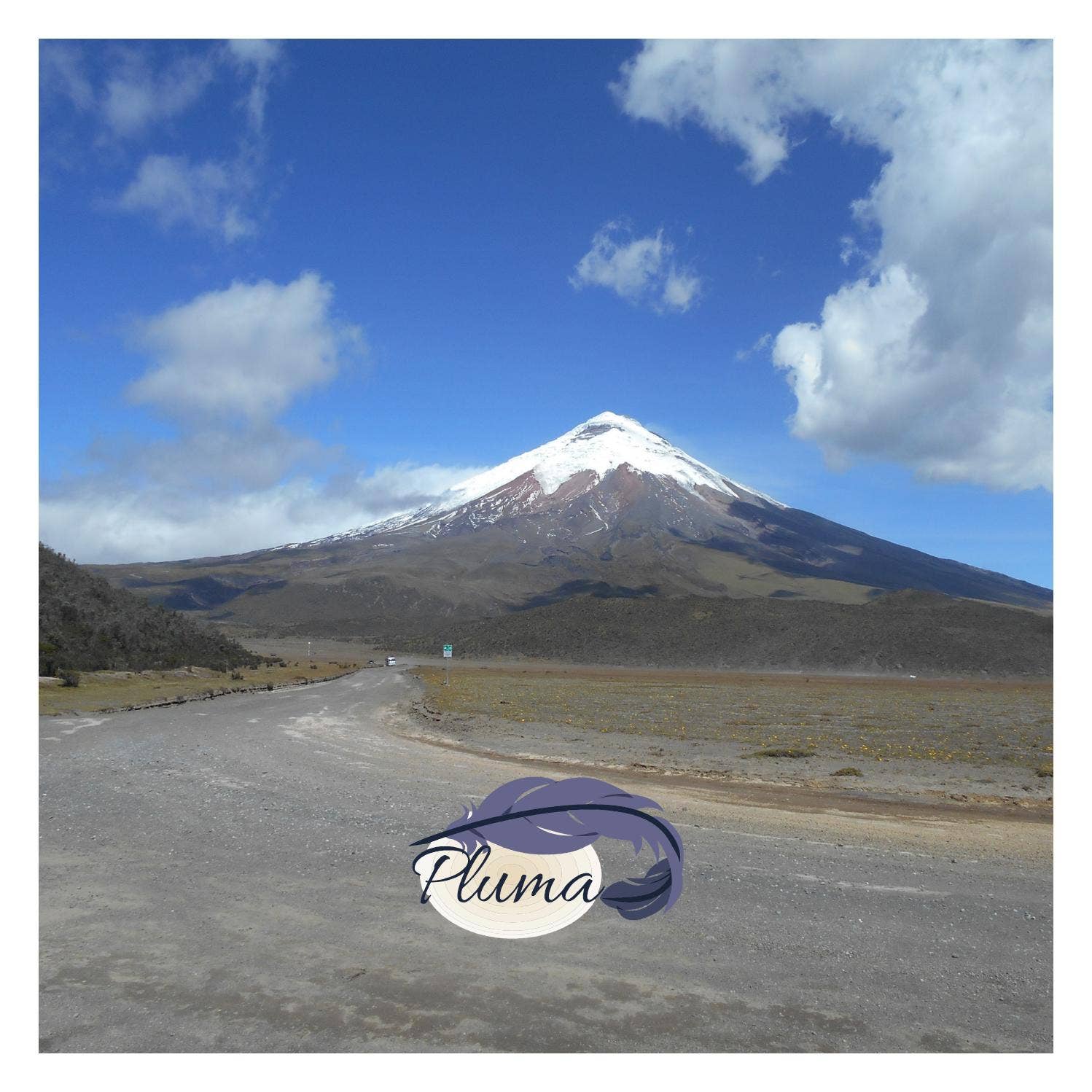 2018 Pluma Book by Washington and Lee University - Issuu