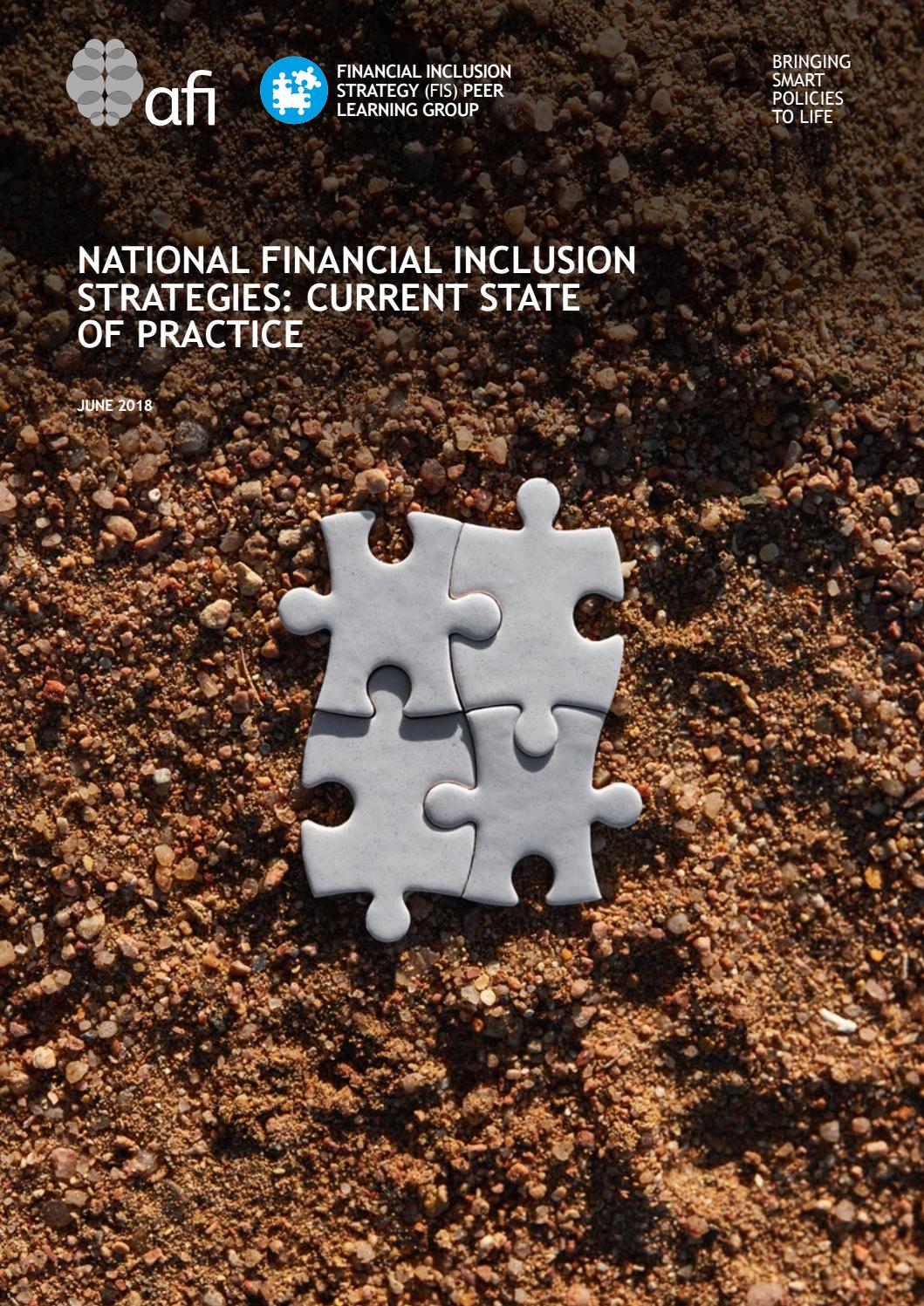 National Financial Inclusion Strategies: Current State of Practice by ...