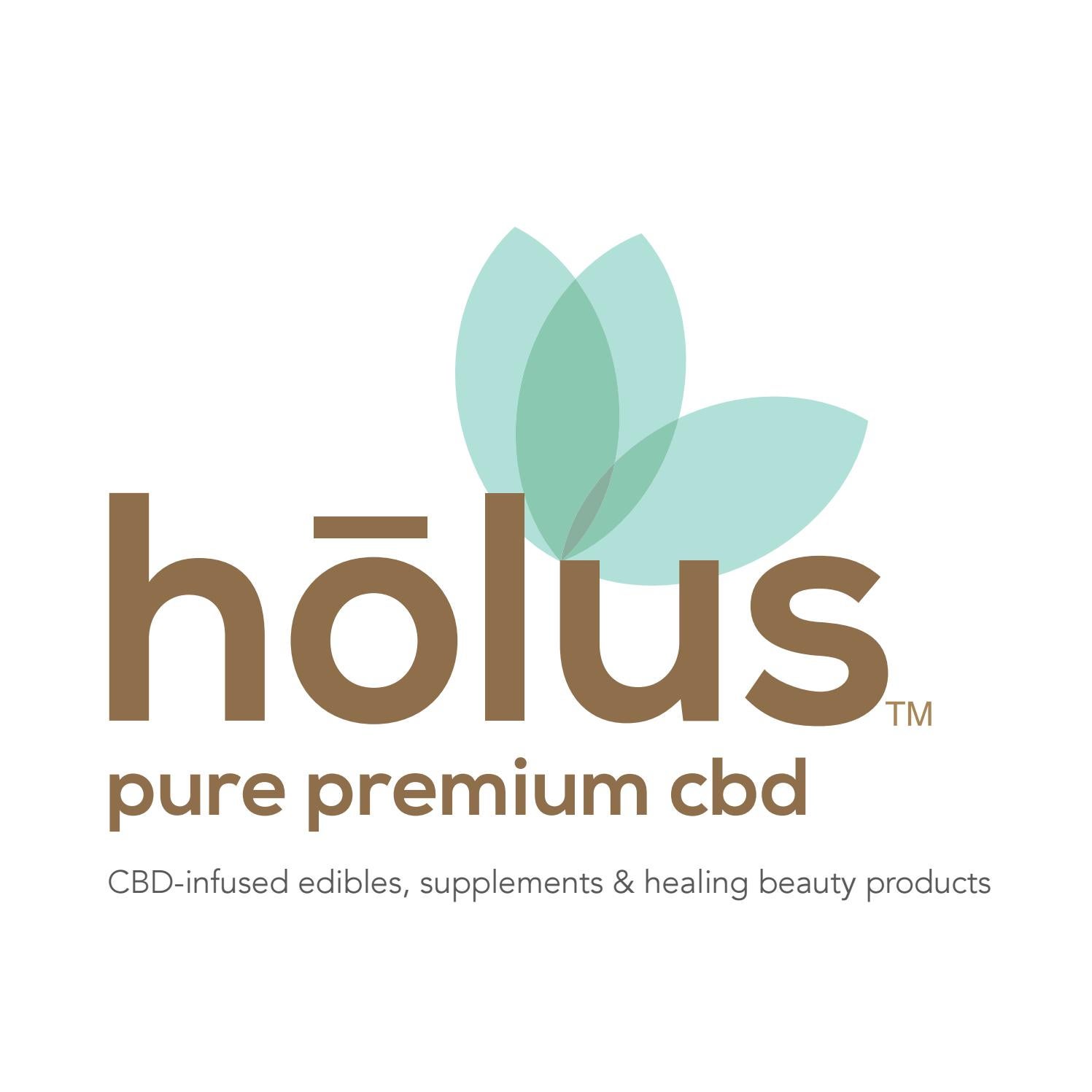 Holus Brochure by Mary Designs - Issuu