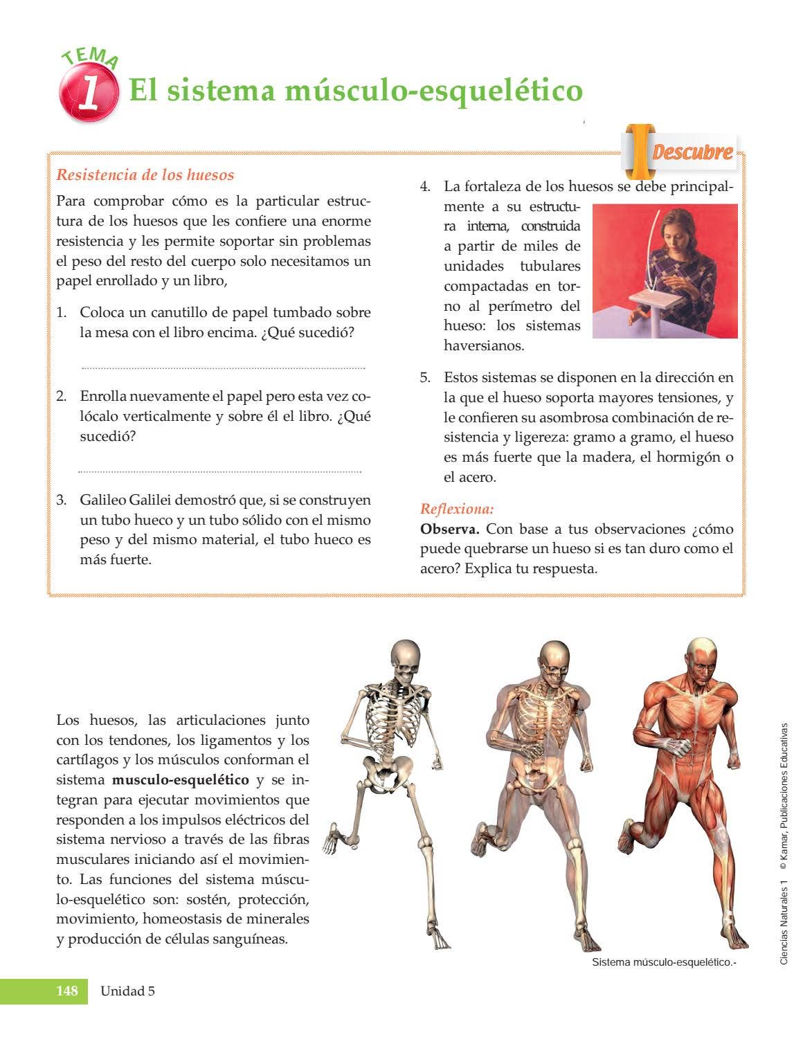 Muestra Ciencias Naturales 1 by EditorialKamarS.A - Issuu