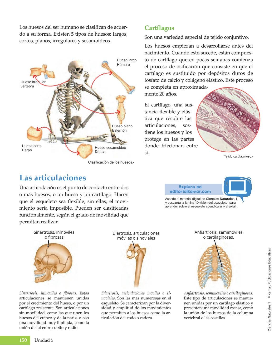 Muestra Ciencias Naturales 1 by EditorialKamarS.A - Issuu