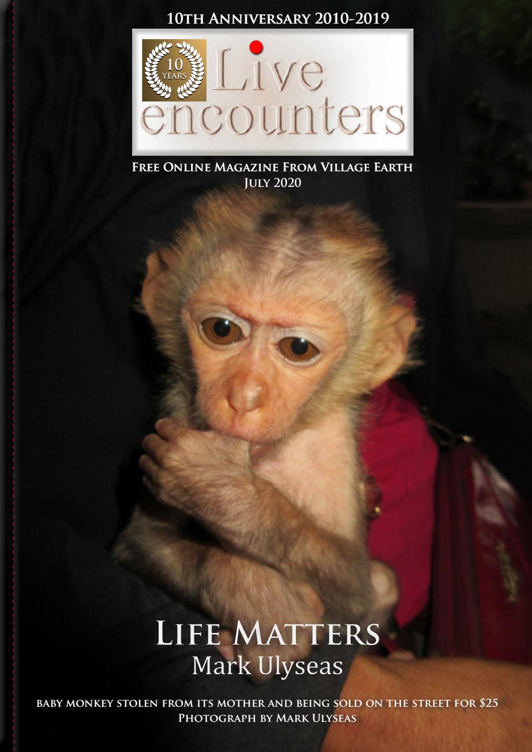 Live Encounters Limited Edition July 2020 by Live Encounters - Issuu