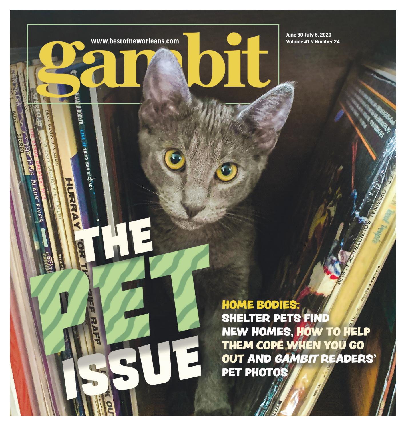 Gambit Pet Issue 2020 Vebuka Gambit Pet Issue 2020 Vebuka