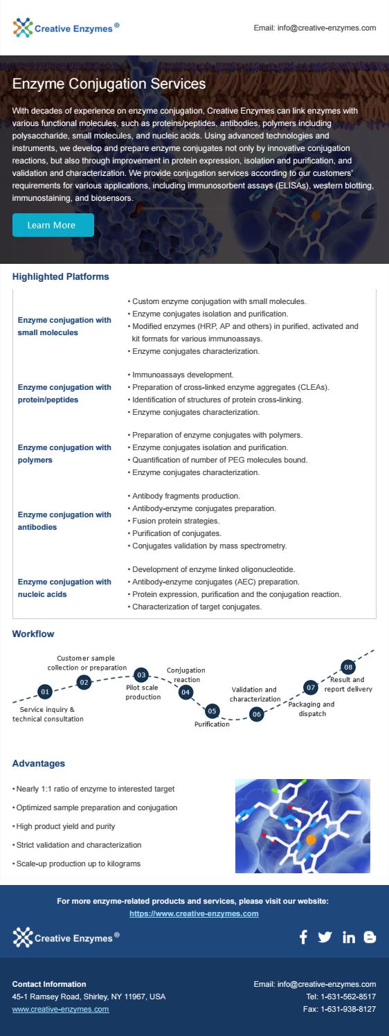 Enzyme Conjugation by Creative Enzymes - Issuu