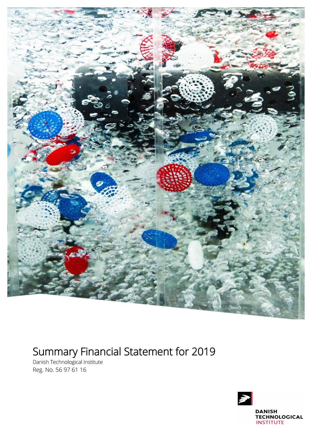 Summary Financial Statement for 2019 - Danish Technological Institute ...