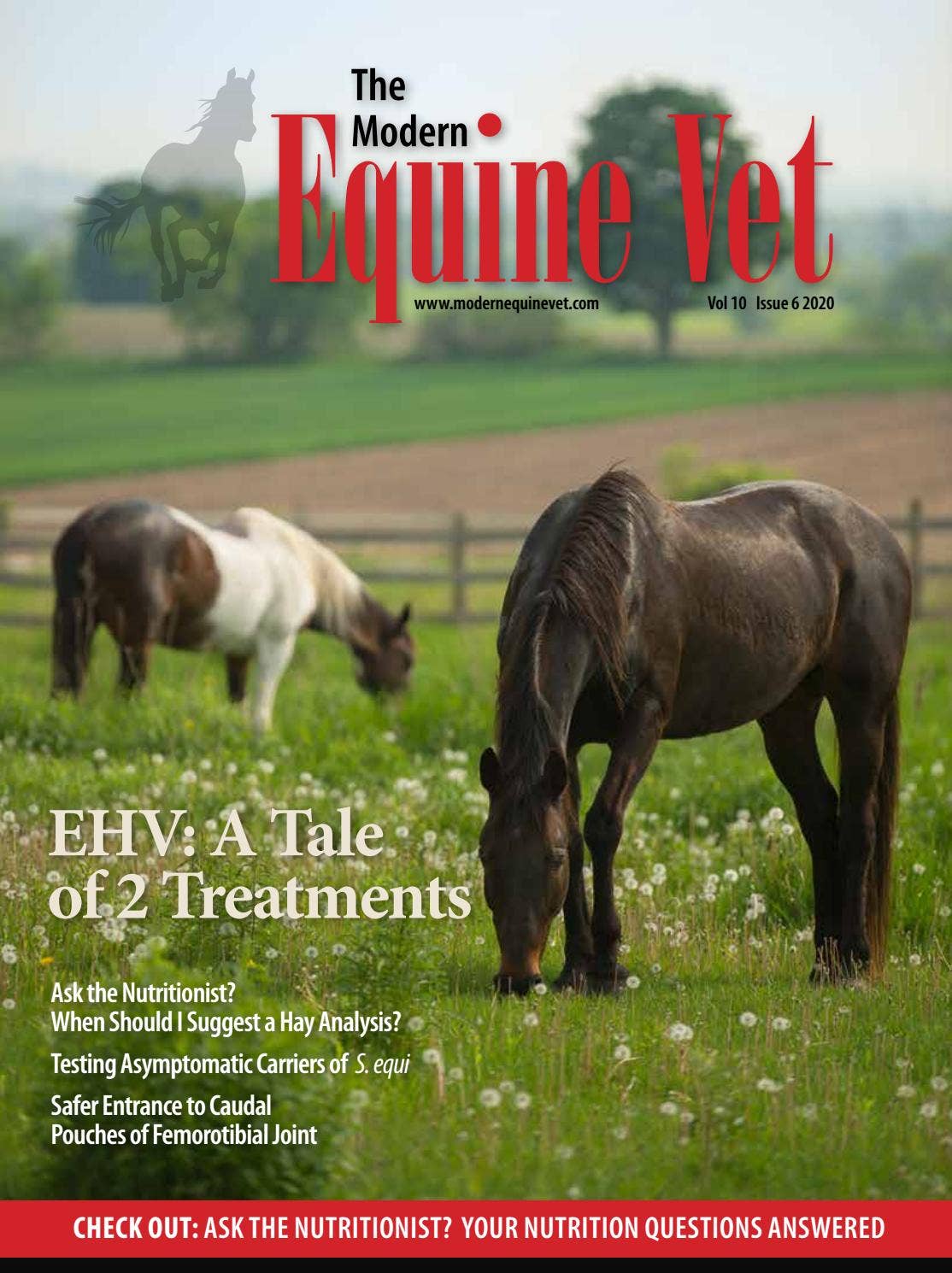 The Modern Equine Vet - June 2020 by The Modern Equine Vet - Issuu