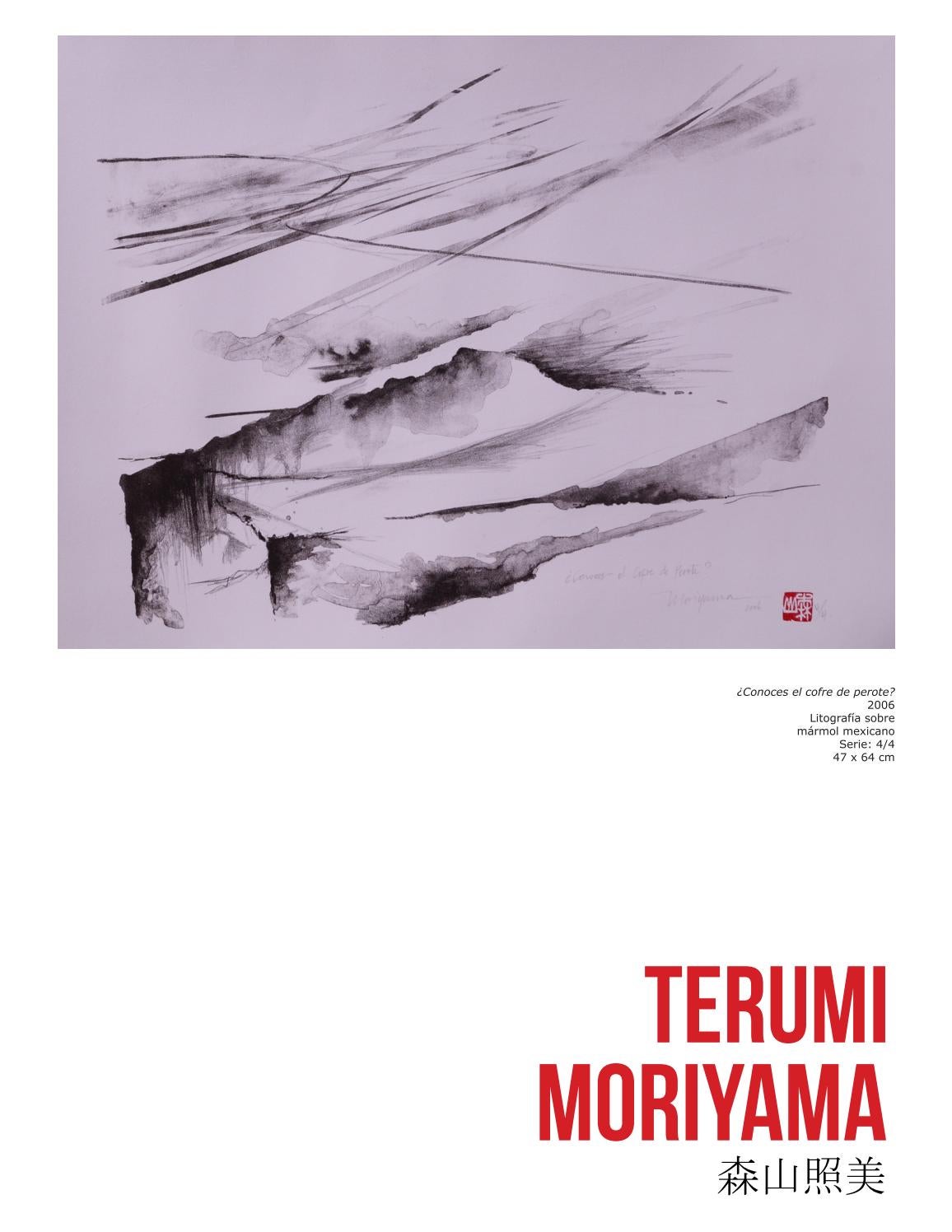 TERUMI MORIYAMA by Arte Hoy - Issuu