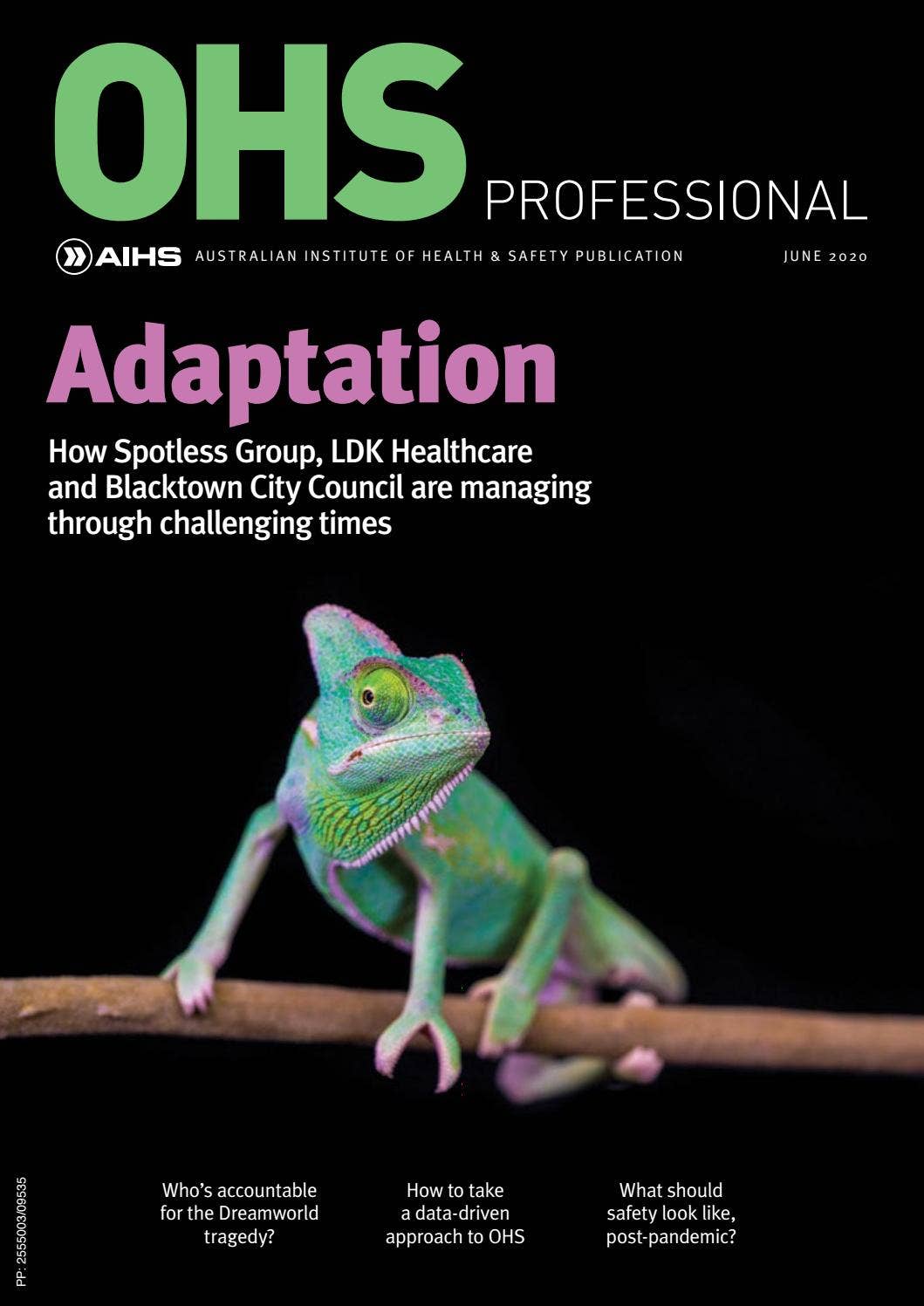 OHS Professional Magazine June 2020 by Australian Institute of Health ...