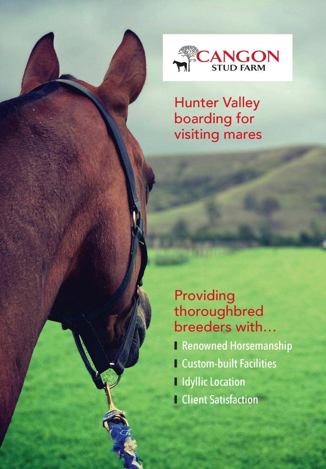 Cangon Stud Farm 2020 online brochure by Canny Multi Media Services - Issuu