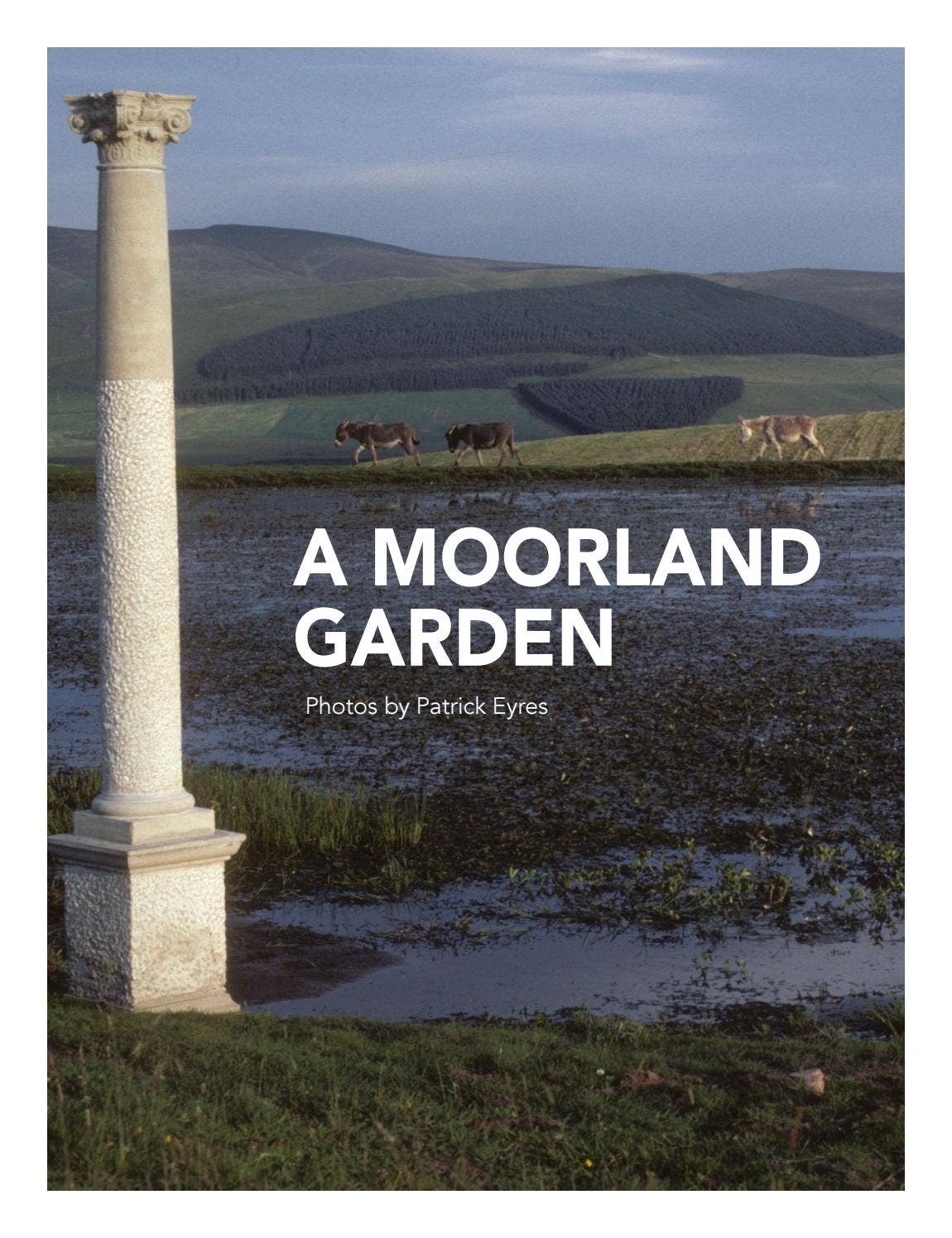 A Moorland Garden, with photos by Patrick Eyres by Little Sparta - Issuu