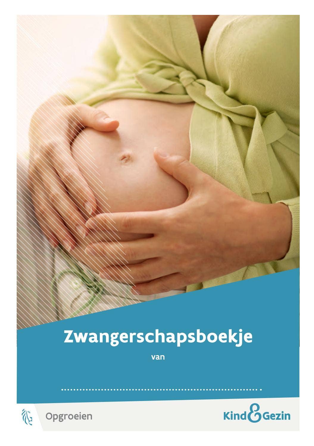 Zwangerschapsboekje.pdf by Vlaanderen-be - Issuu