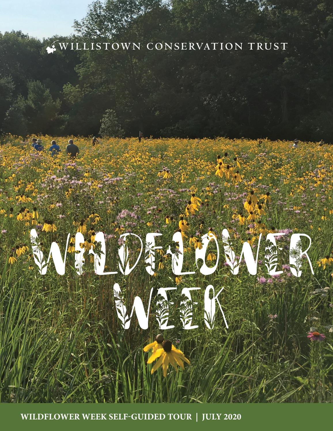 Wildflower Week Self-Guided Tour | JULY 2020 by Willistown Conservation ...