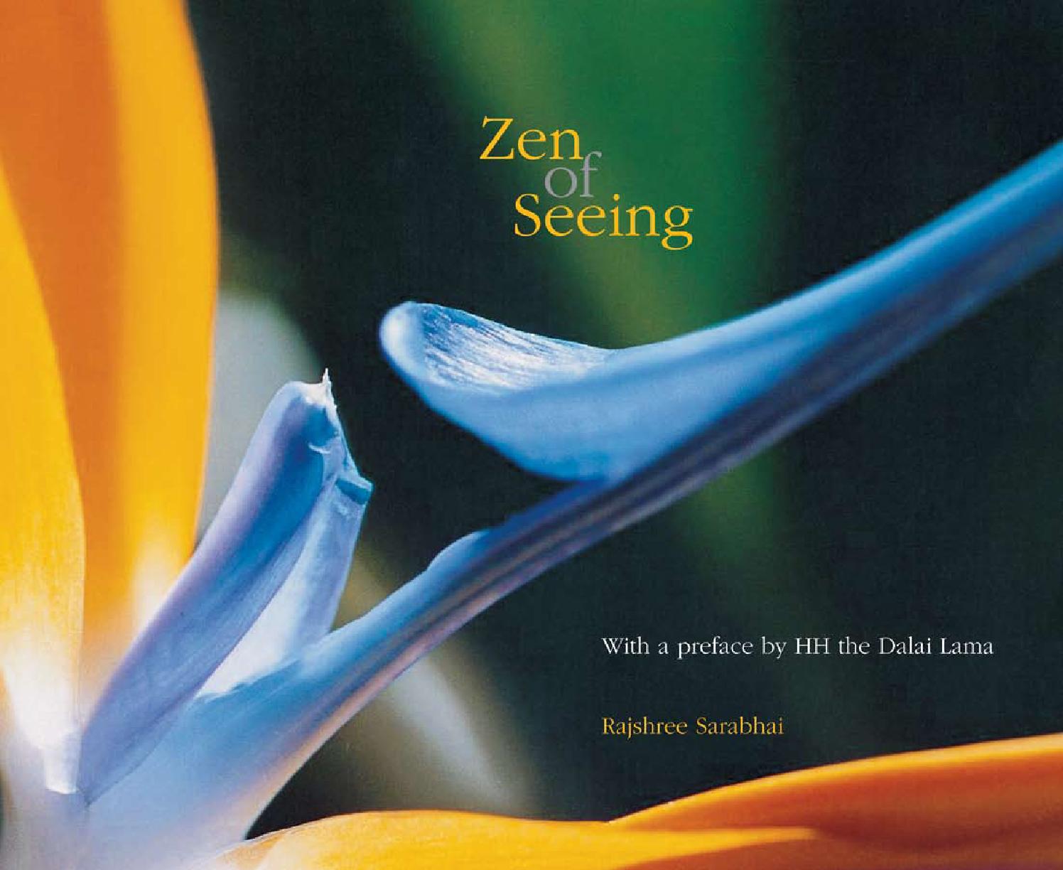 Zen of Seeing by Mapin Publishing - Issuu
