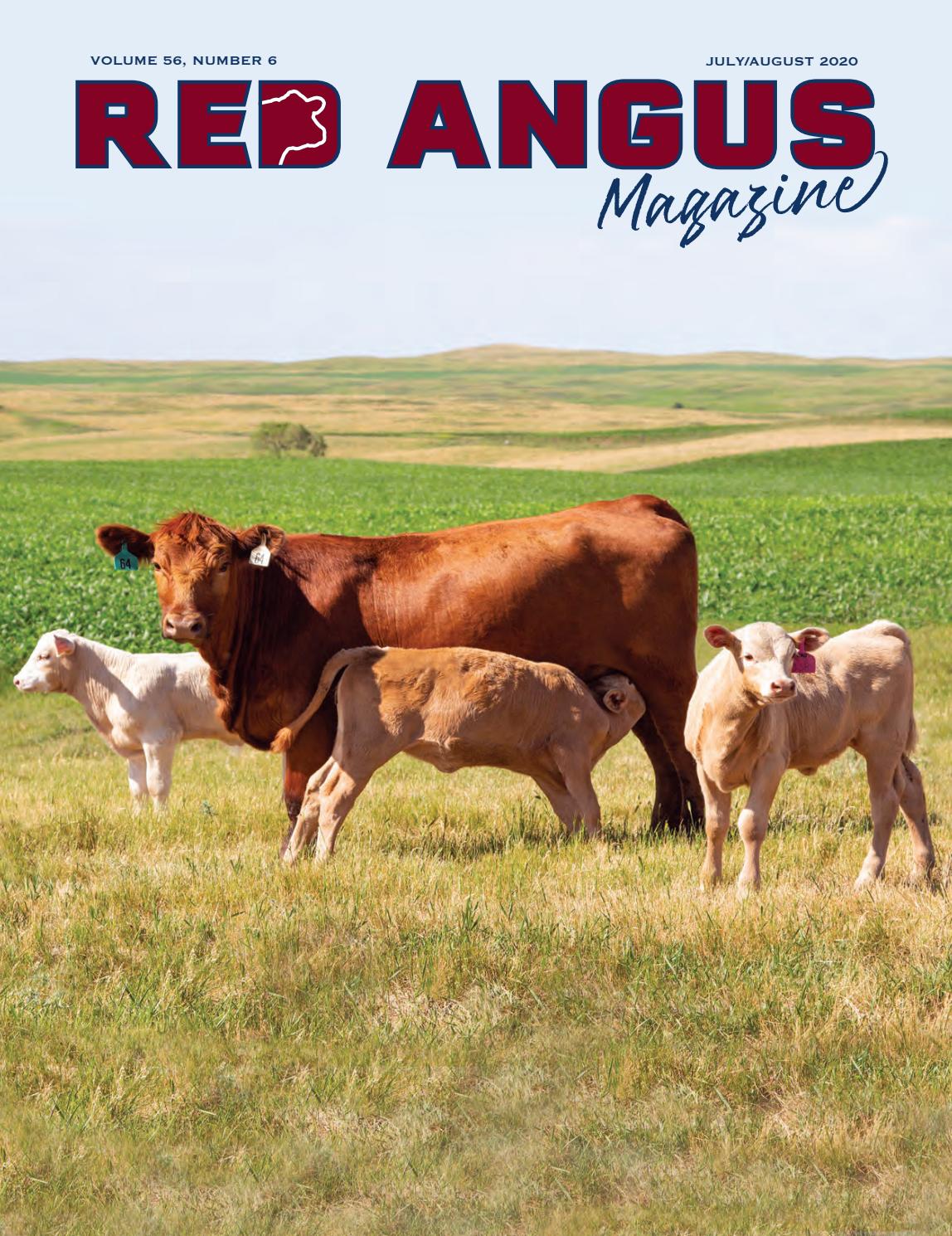 July/August 2020 - Red Angus Magazine by Red Angus Association of ...