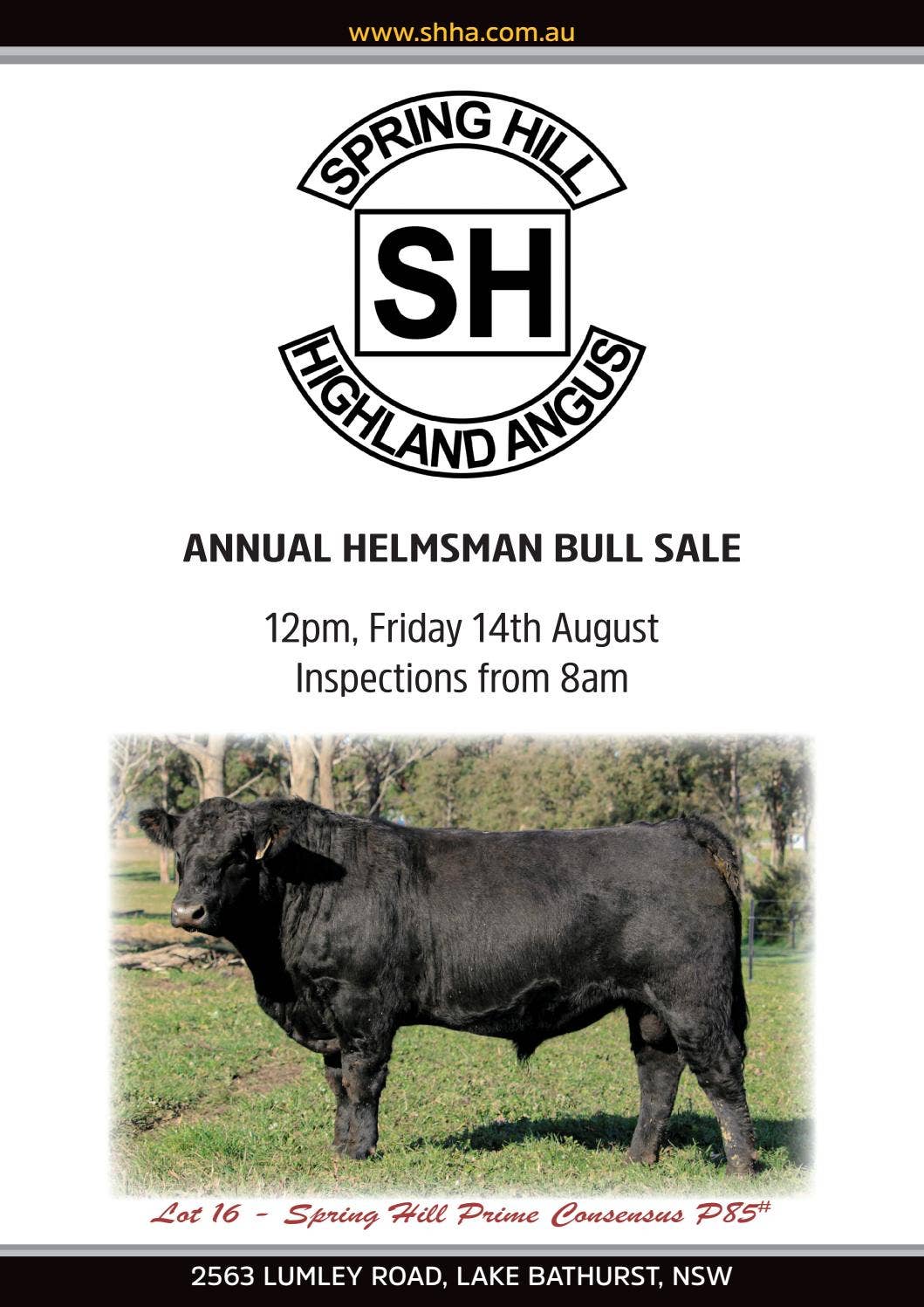 Spring Hill Angus Bull Sale 2020 by Angus Australia - Issuu