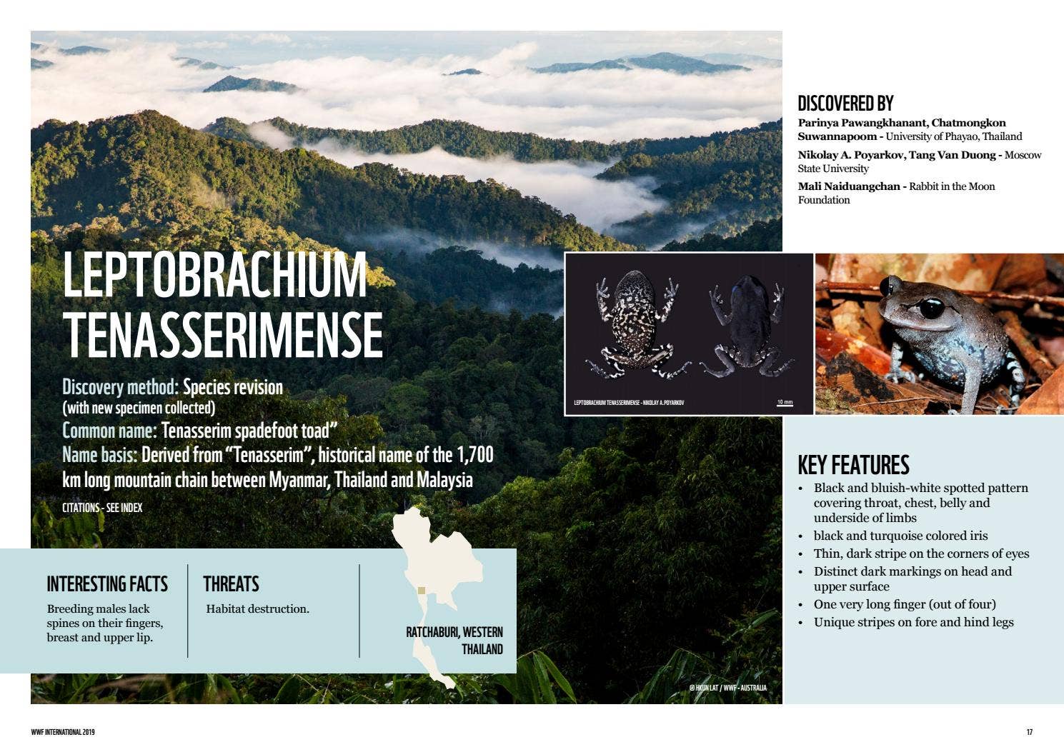 New Species Report (new) by WWF-Asia Pacific - Issuu