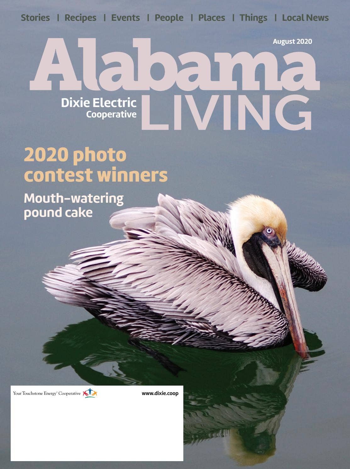 August 2020 Dixie Electric by Alabama Living - Issuu