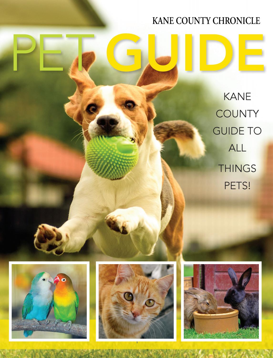 KCC Pet Guide_Summer 2020 by Shaw Media - Issuu