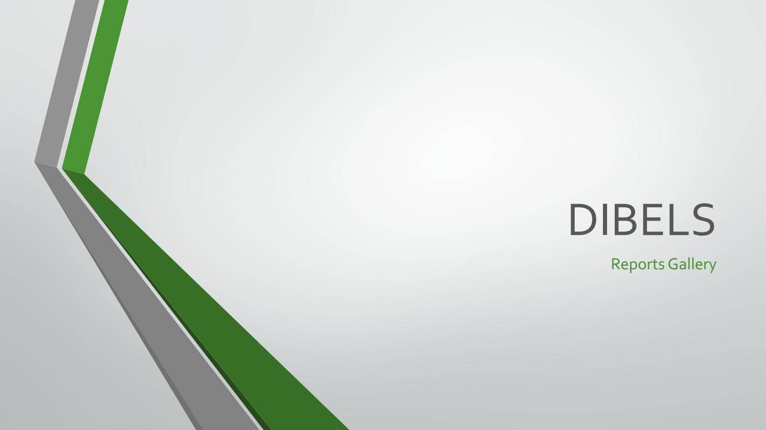 Dibels Example Reports by Multiple Measures - Issuu