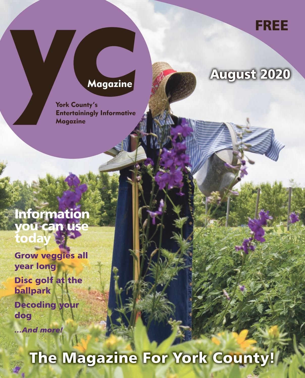YC Magazine - August Issue by SC Biz News - Issuu