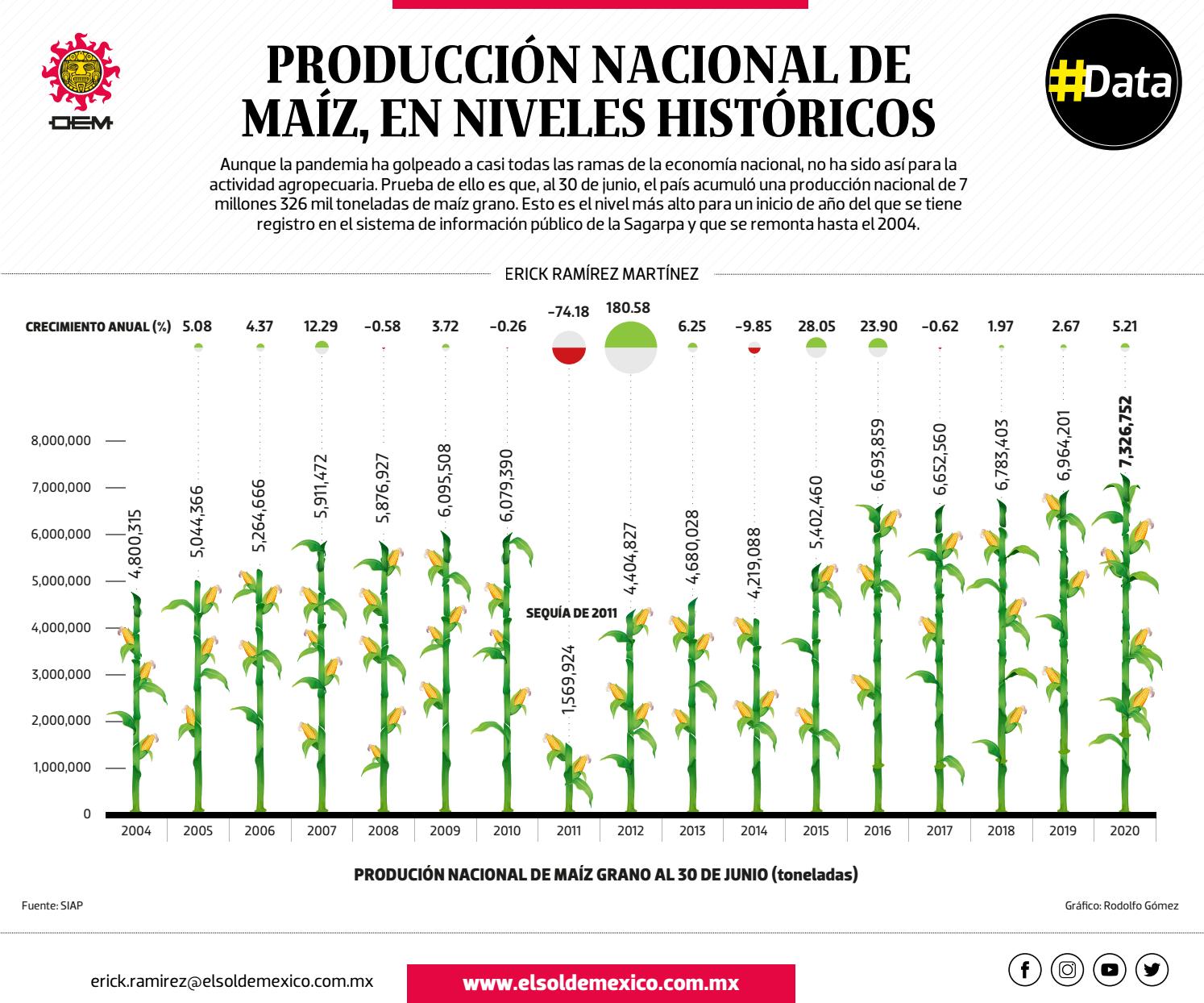 Producción Nacional De Maíz By El Sol De México Issuu