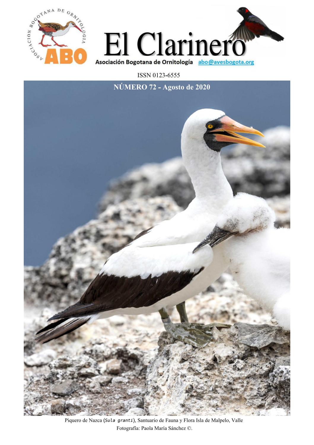 El Clarinero No 72 by ABO - Issuu