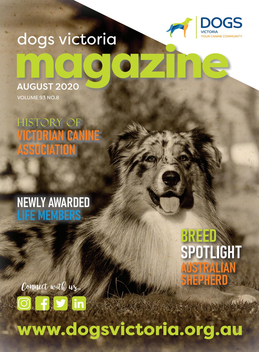 Dogs Victoria August 2020 Magazine by Dogs Victoria - Issuu