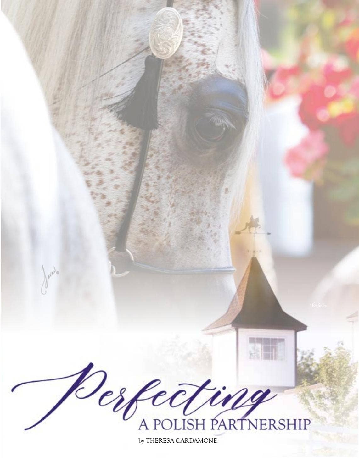 Perfecting a Polish Partnership by Alim editrice - Issuu