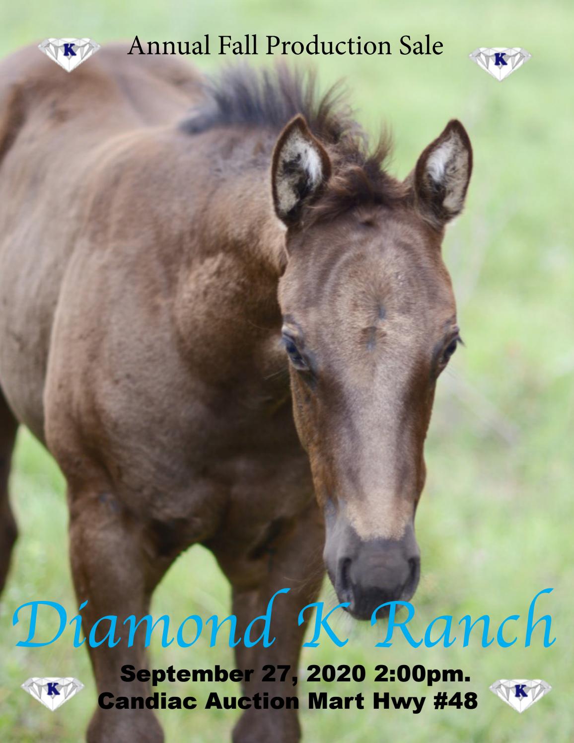 Diamond K Ranch 2020 by Shelby King - Issuu