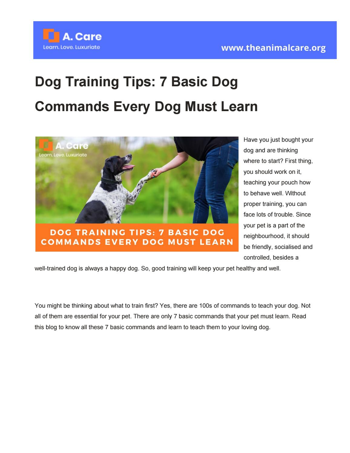 Dog Training Tips 7 Basic Dog Commands Every Dog Must Learn By Ewan 