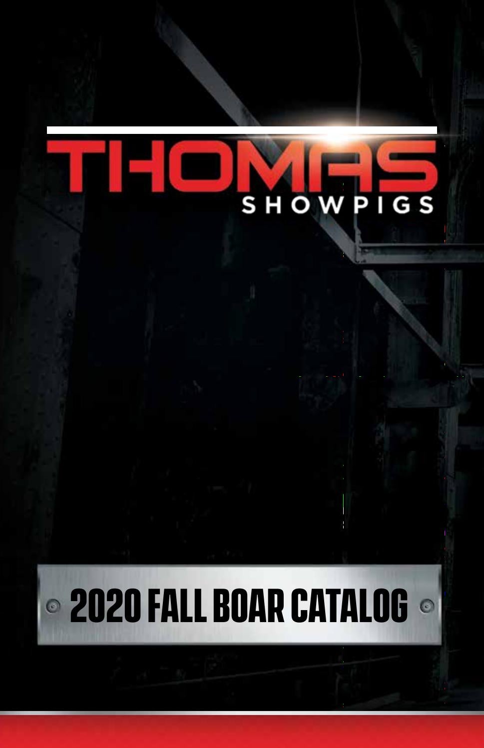 Thomas Showpigs 2020 Fall Boar Catalog by Reagan Kelly - Issuu