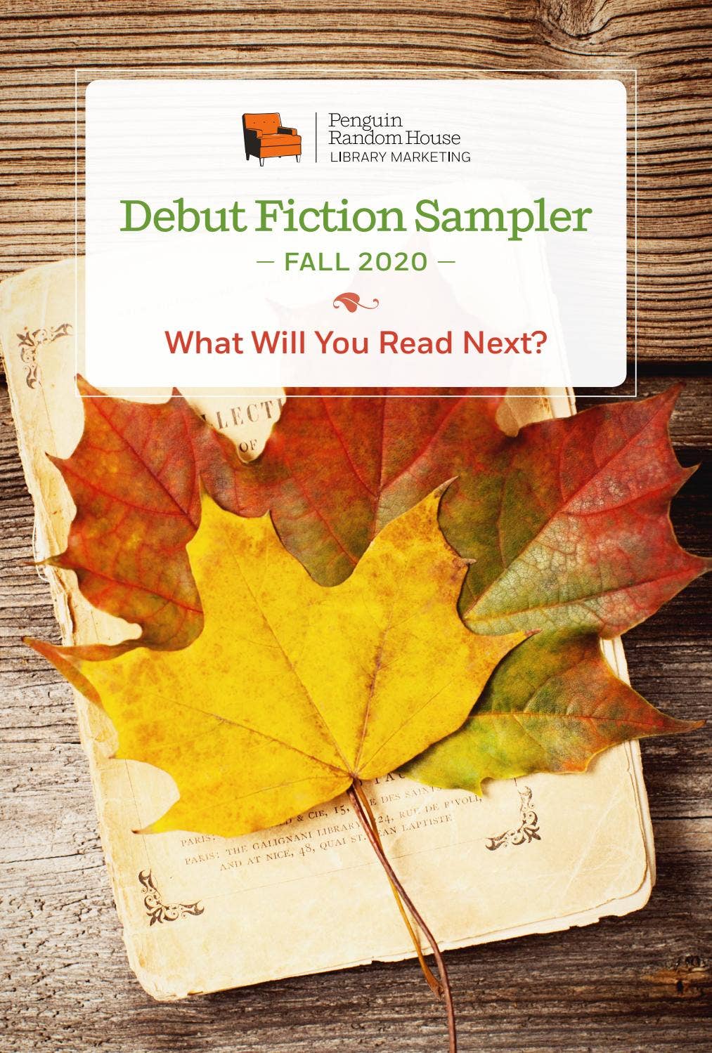 Debut Fiction Sampler, Fall 2020 by PRH Library - Issuu