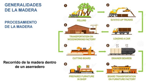 01. GENERALIDADES DE LA MADERA by Arq. Luis Fernando Ruano Paz - Issuu